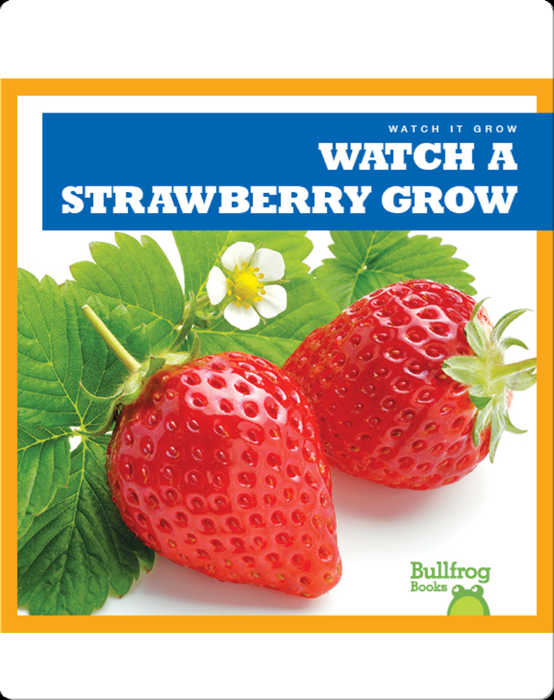 Watch a Strawberry Grow Book by Kirsten Chang | Epic