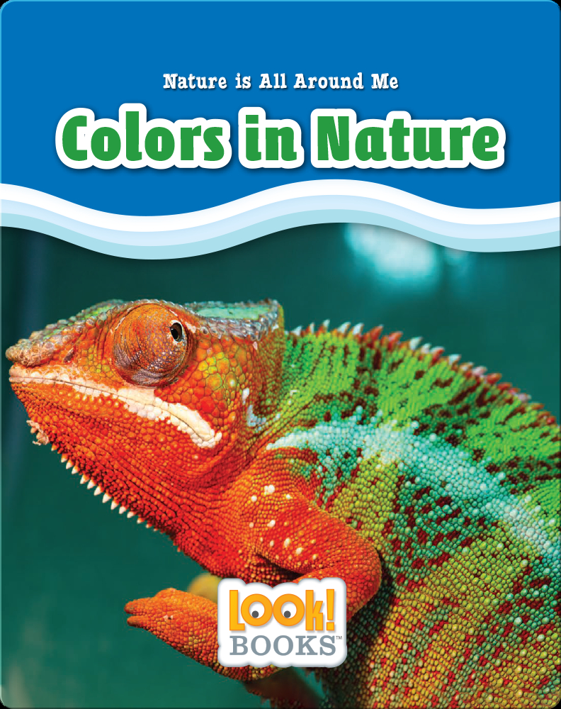 Colors in Nature Book by Jennifer Marino Walters | Epic