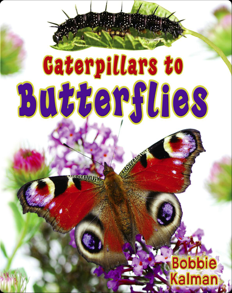 Caterpillars to Butterflies Book by Bobbie Kalman | Epic