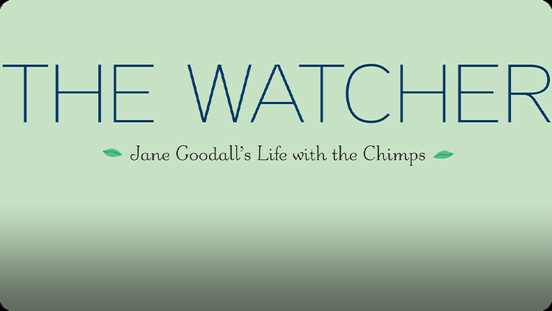 The Watcher: Jane Goodall's Life with the Chimps Video | Discover Fun ...