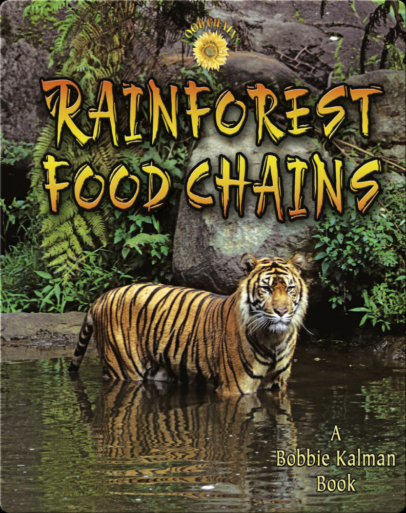 Rainforest Food Chains Book by Bobbie Kalman, Molly Aloian | Epic