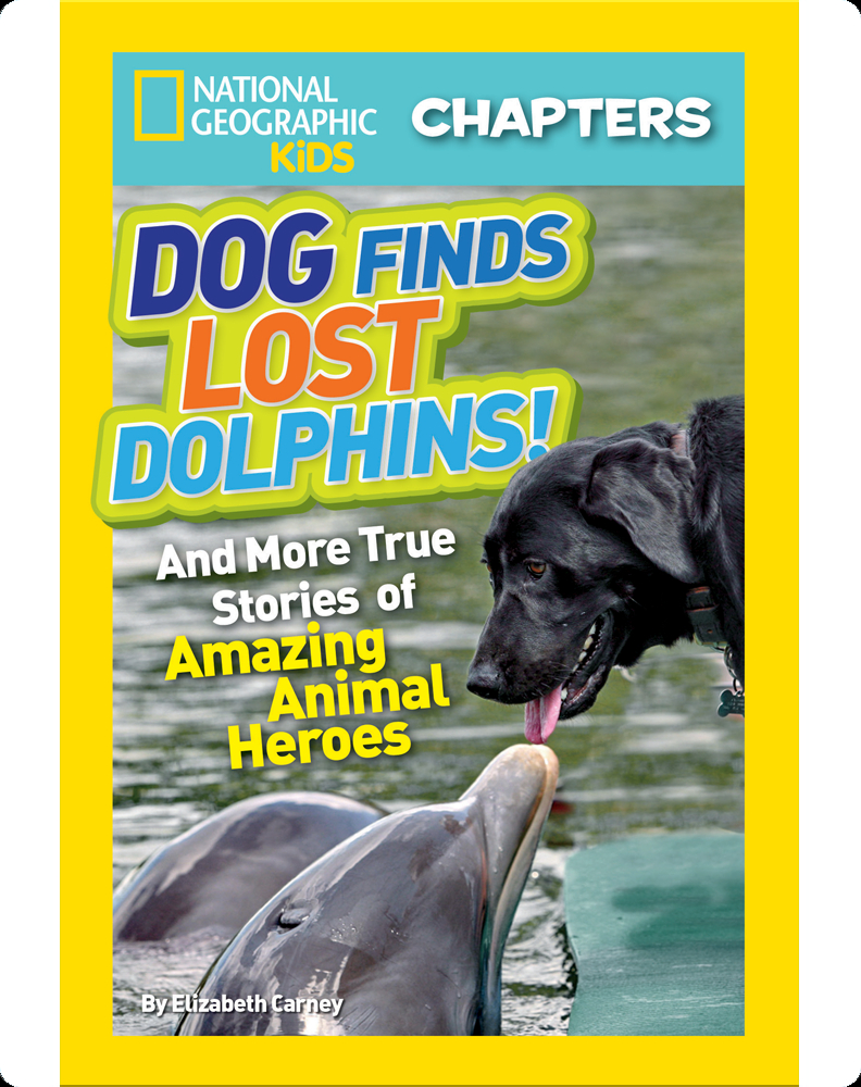 National Geographic Kids Chapters: Dog Finds Lost Dolphins Book by ...