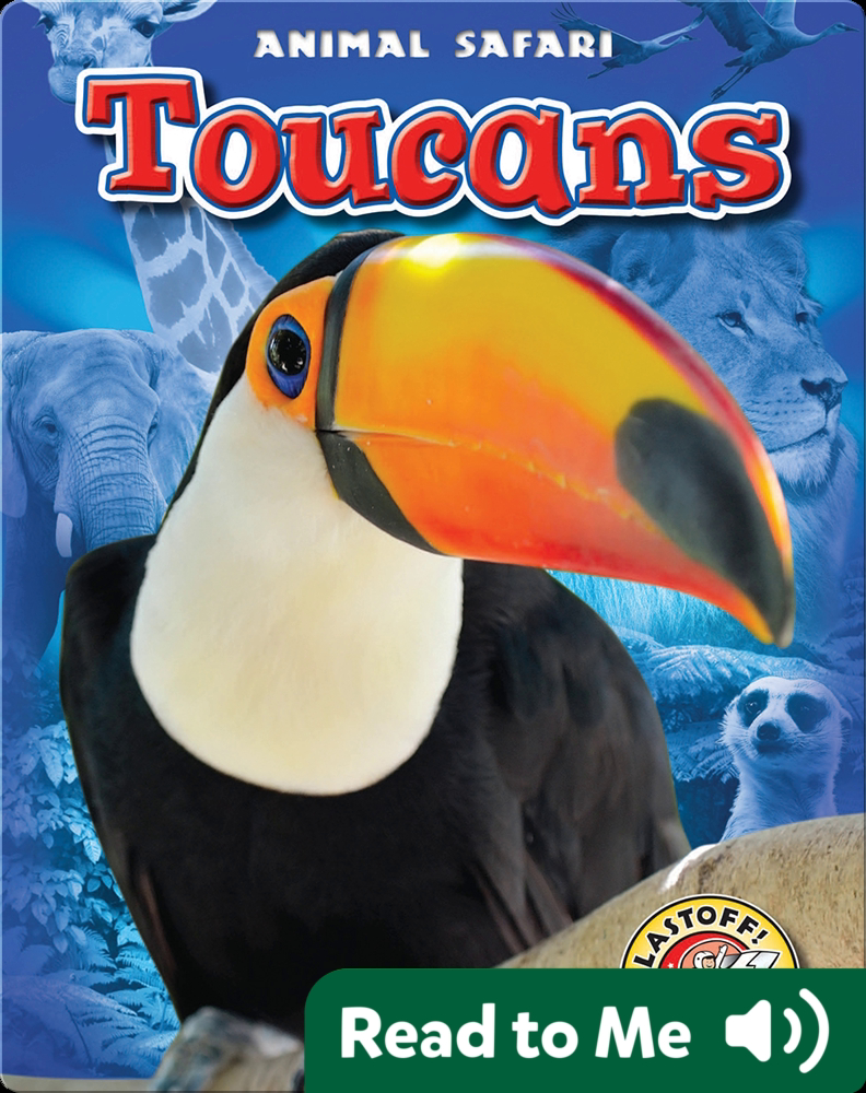 Toucans Book by Megan Borgert-Spaniol | Epic