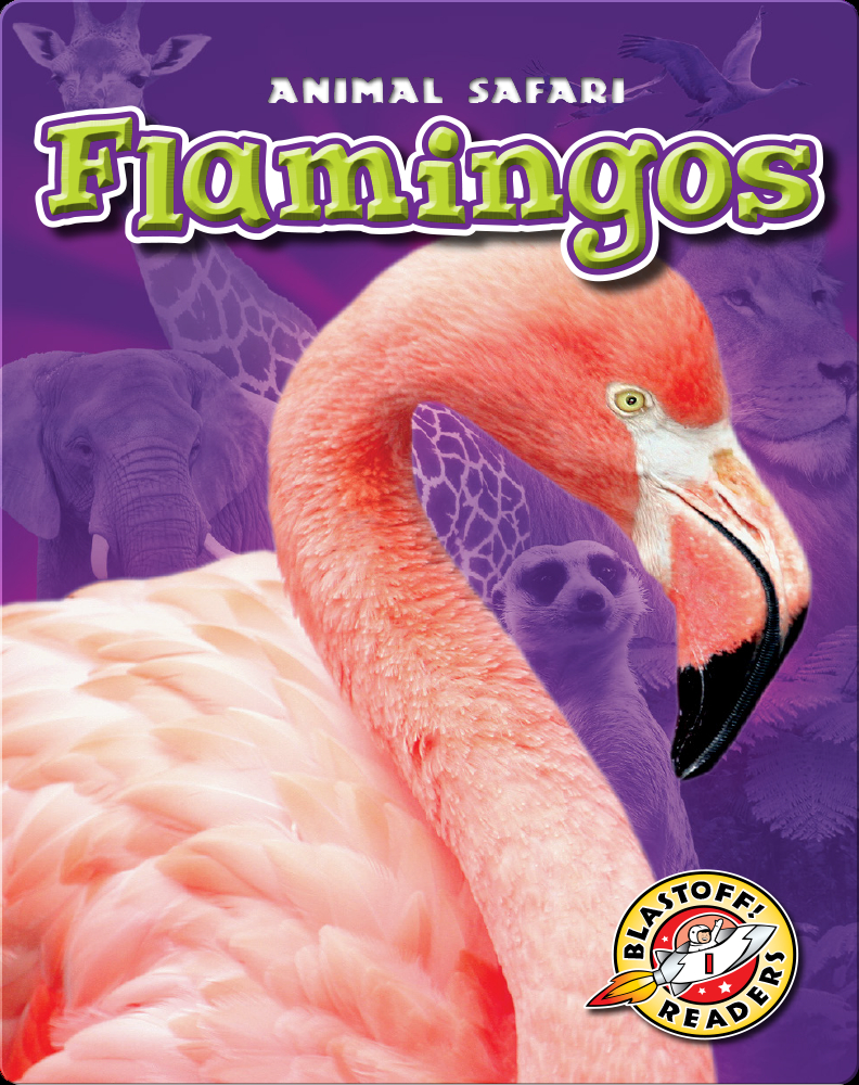 Flamingos Book by Megan Borgert-Spaniol | Epic