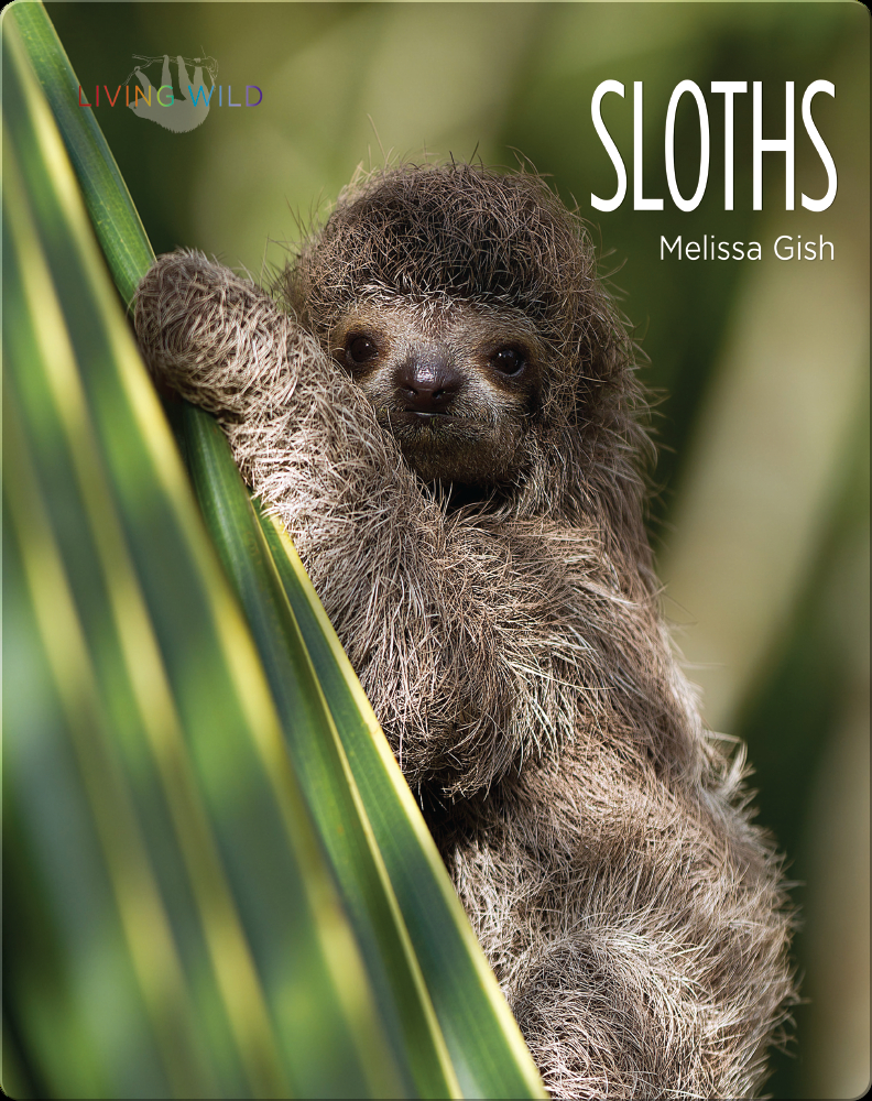 Sloths Book by Melissa Gish | Epic