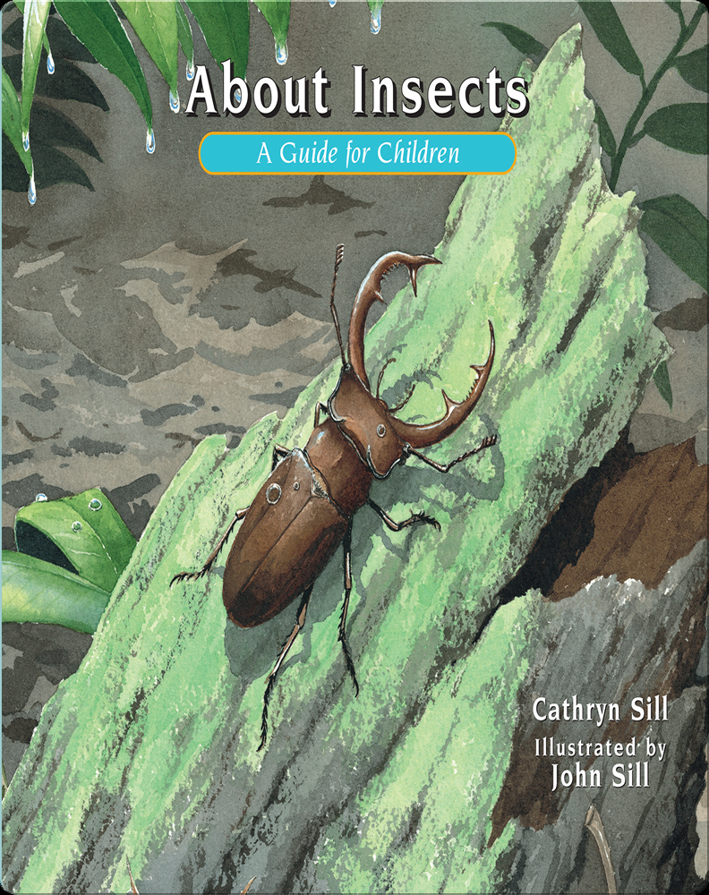 About Insects Book by Cathryn Sill | Epic
