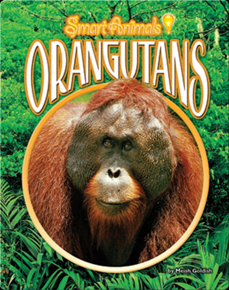 Orangutans Book by Meish Goldish | Epic