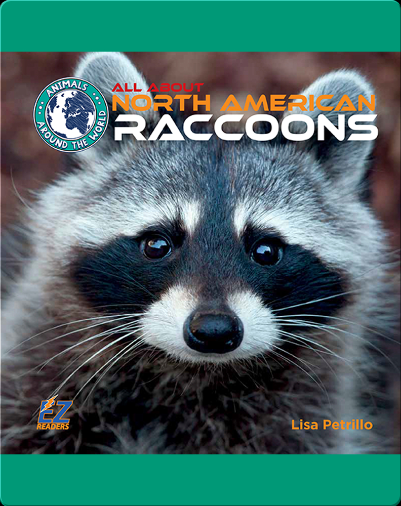 All About North American Raccoons Book by Lisa Petrillo | Epic