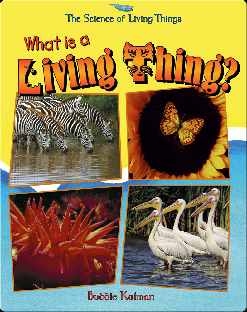 What is a Living Thing? Book by Bobbie Kalman | Epic