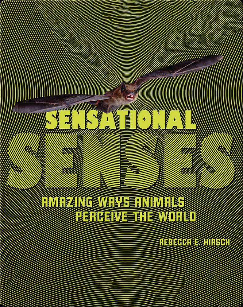 Sensational Senses: Amazing Ways Animals Perceive the World Book by ...
