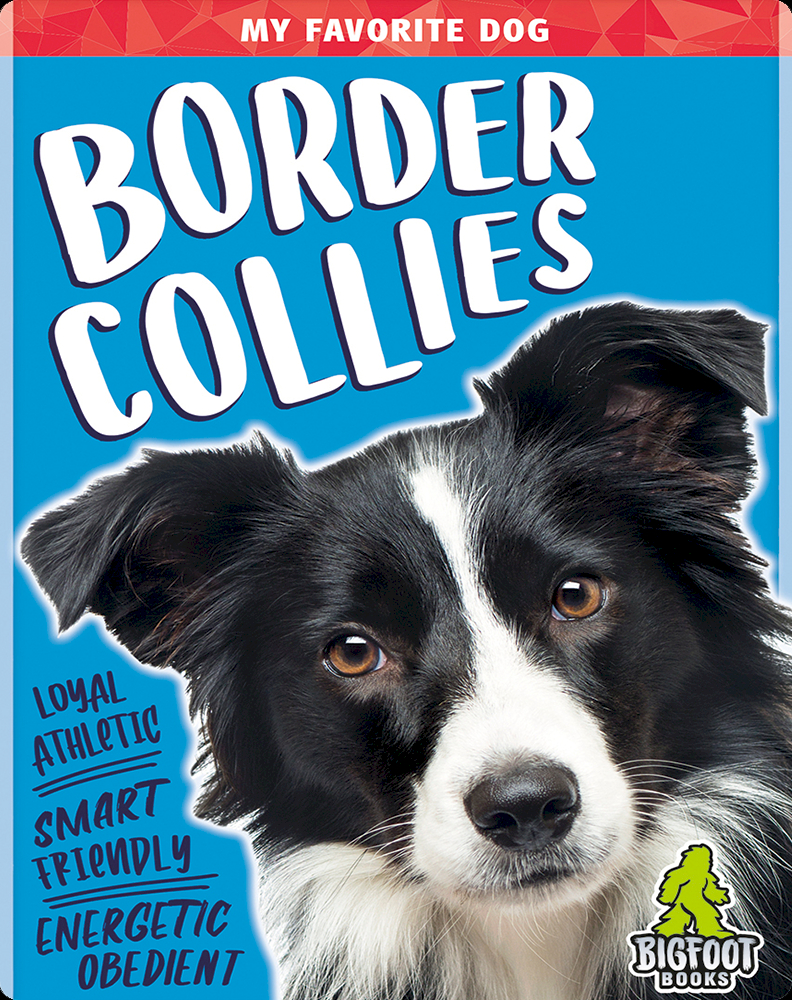 My Favorite Dog: Border Collies Book by Renata Marie | Epic