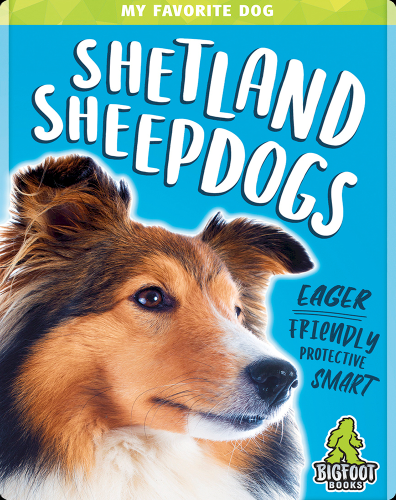 My Favorite Dog: Shetland Sheepdogs Book by Rhonda E. Nichols | Epic