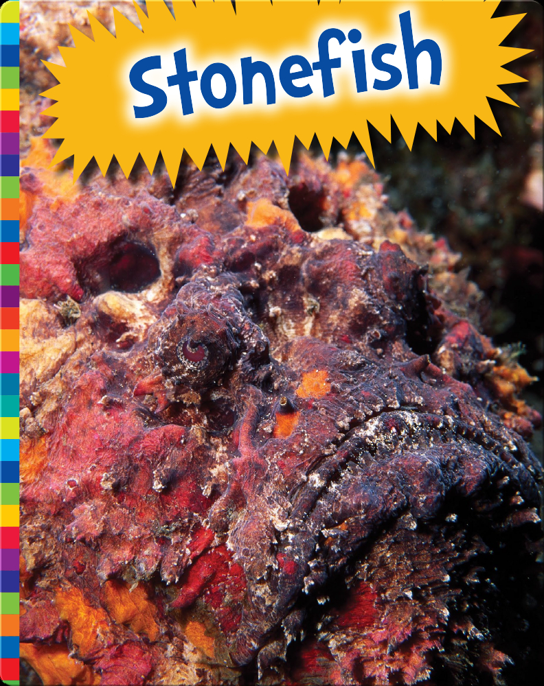 Stonefish Book by Elizabeth Raum | Epic