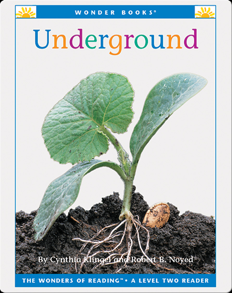 Underground Book by Cynthia Klingel | Epic