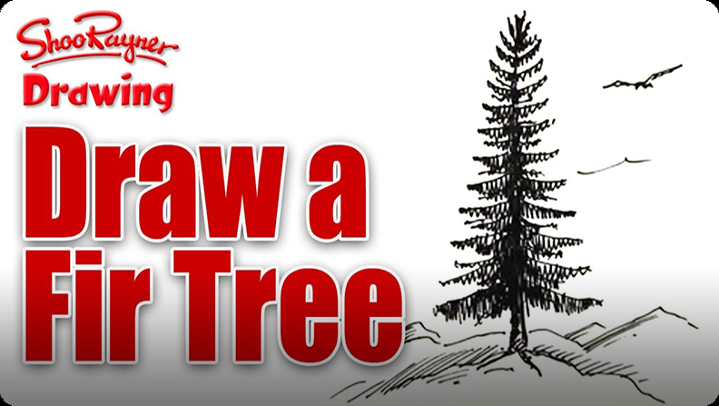 How to Draw a Fir Tree Video | Discover Fun and Educational Videos That ...
