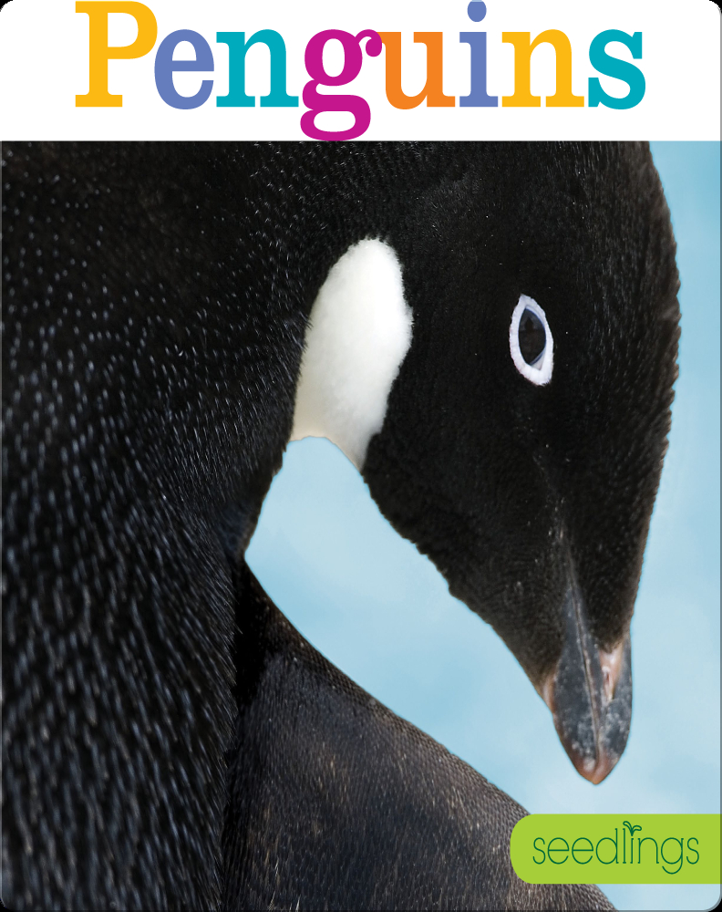 Penguins Book by Kate Riggs | Epic