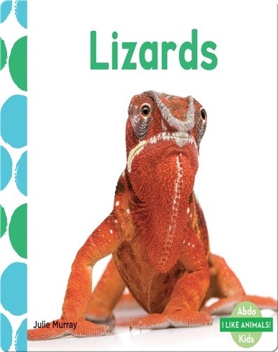 Lizards Children's Book Collection | Discover Epic Children's Books ...