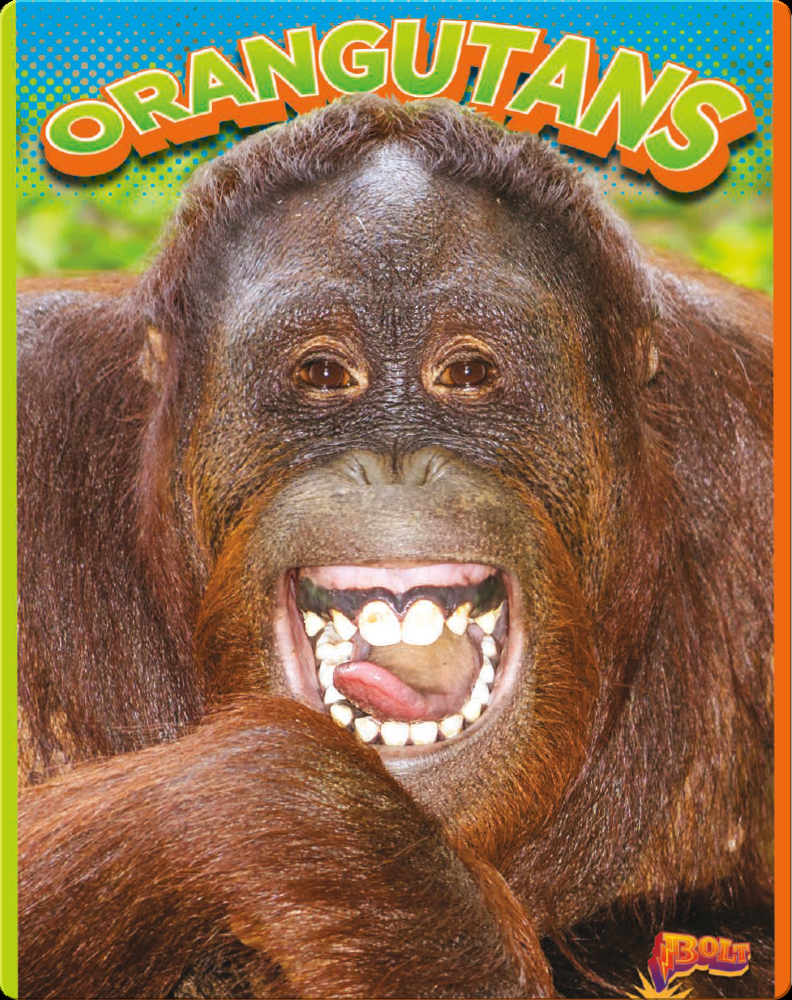 Orangutans Book by Nicki Clausen-Grace | Epic