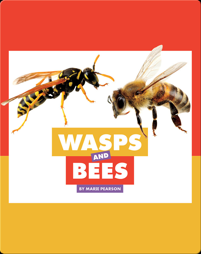 Comparing Animal Differences: Wasps and Bees Book by Marie Pearson | Epic