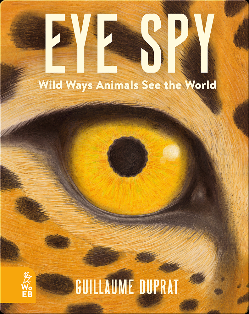 Eye Spy Book by Guillaume Duprat | Epic