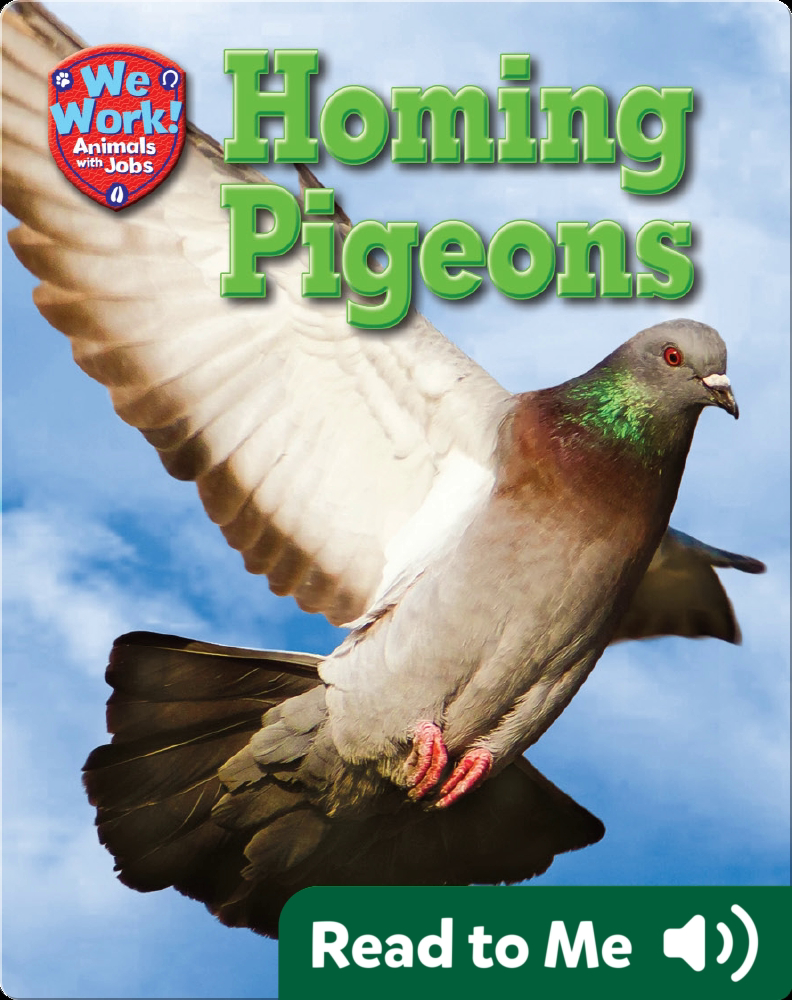 Homing Pigeons Book by Jenny Fretland Vanvoorst | Epic