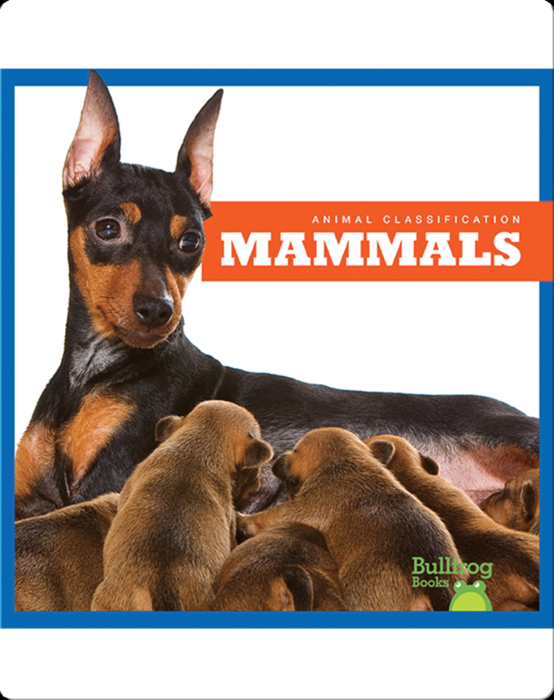 Animal Classification: Mammals Book by Erica Donner | Epic