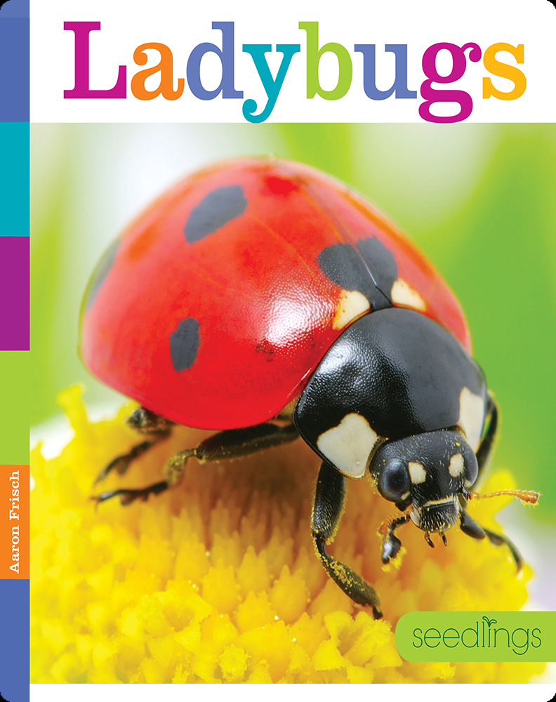 Ladybugs Book by Kate Riggs, Aaron Frisch | Epic