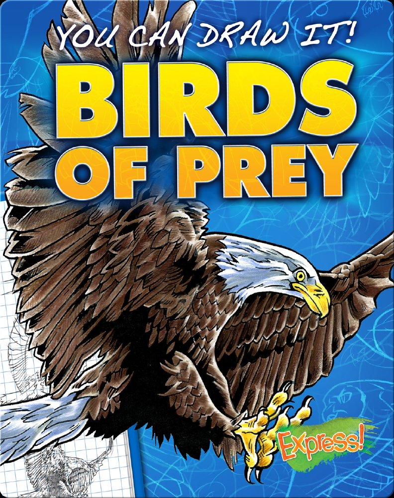 Birds of Prey Book by Steve Porter | Epic