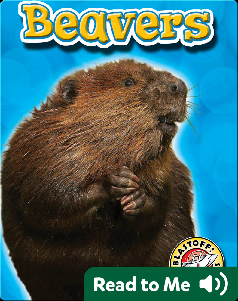 Beavers: Backyard Wildlife Book by Emily Green | Epic