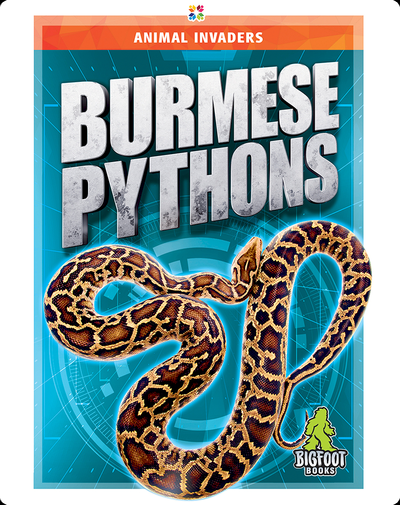 Animal Invaders: Burmese Pythons Book by Jody Jensen Shaffer | Epic