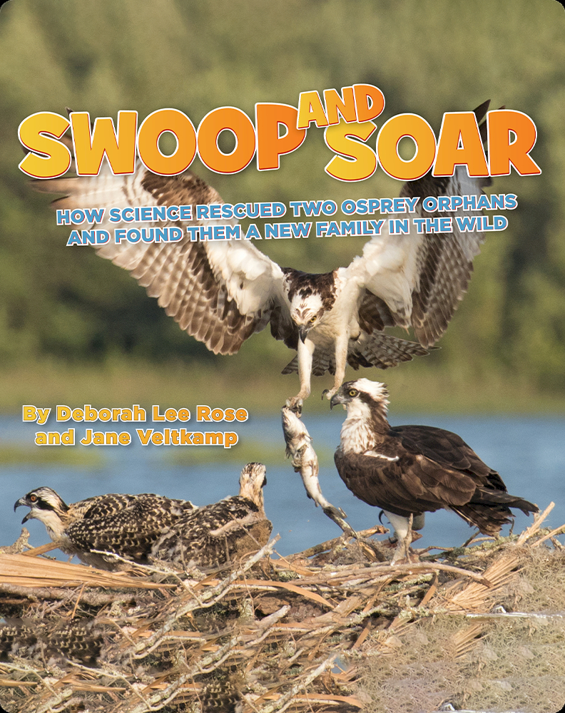 Swoop and Soar Book by Deborah Lee Rose | Epic