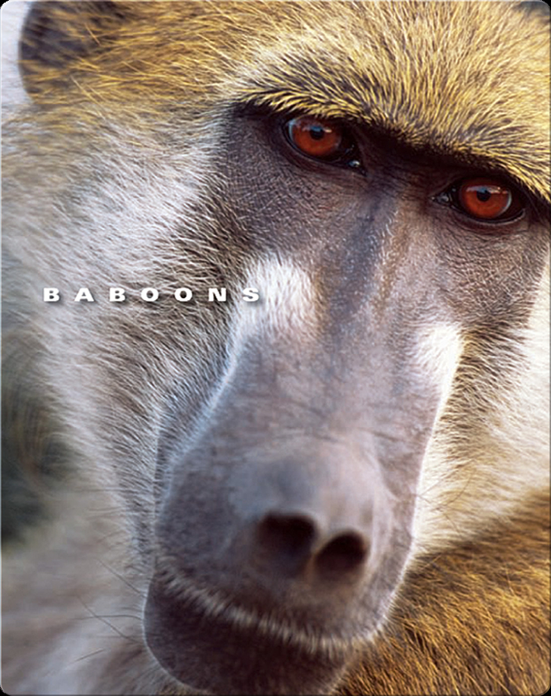 Baboons Book by Sophie Lockwood | Epic
