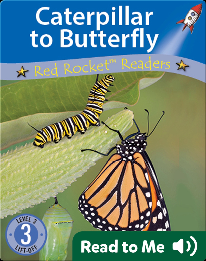 Caterpillar to Butterfly Book by Pam Holden | Epic