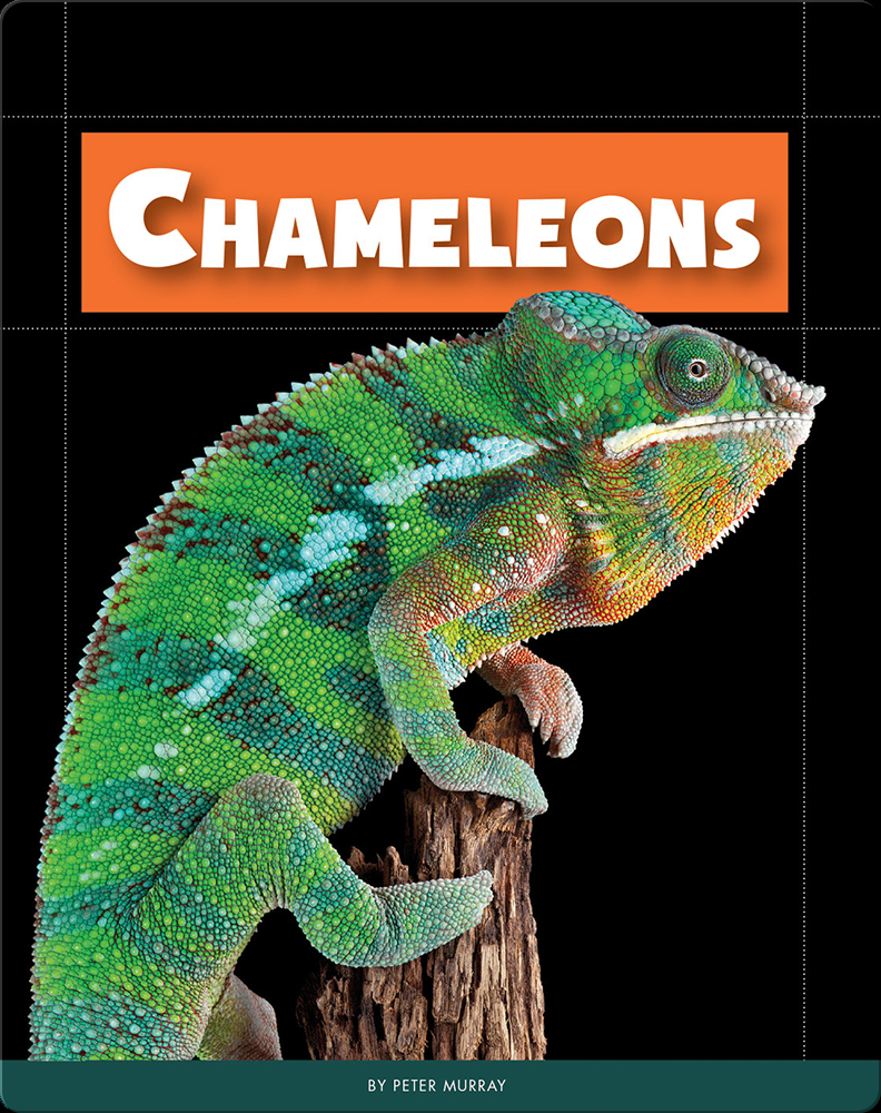 Chameleons Book by Peter Murray | Epic