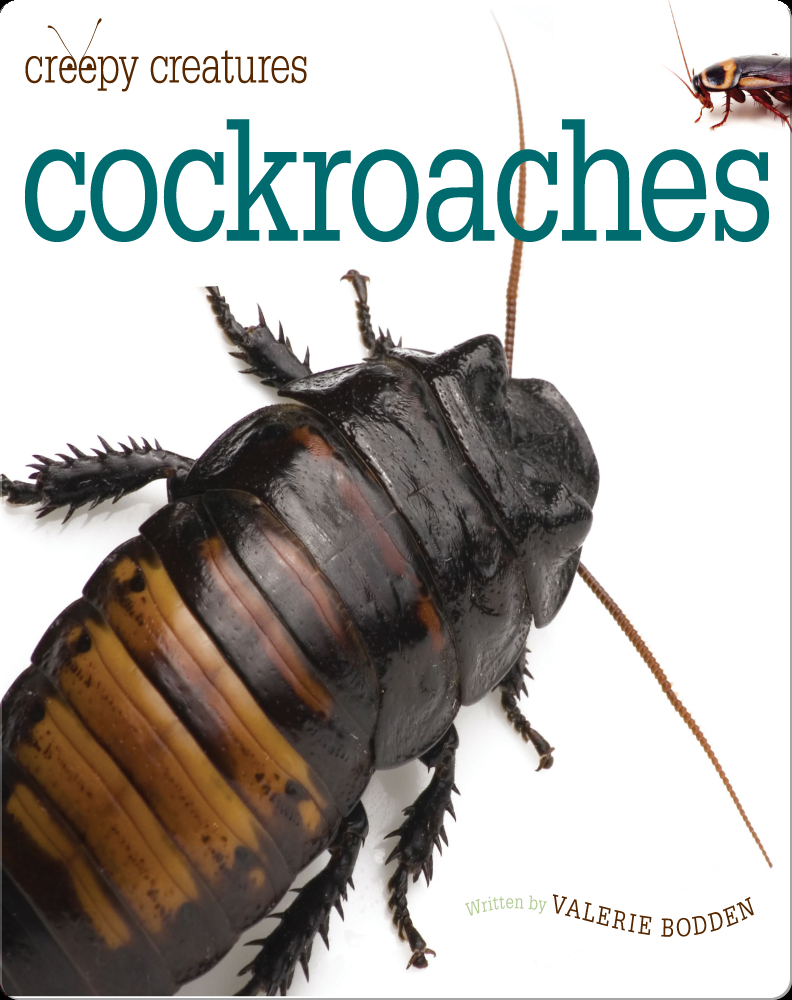 Cockroaches Book by Valerie Bodden | Epic