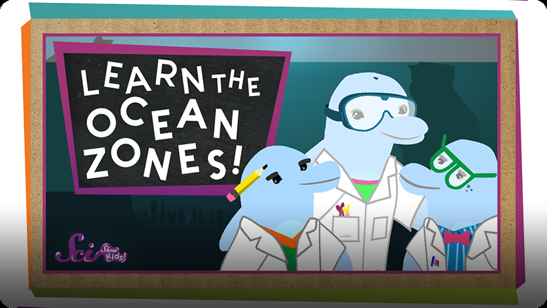 SciShow Kids: Let's Learn the Ocean Zones! Video | Discover Fun and ...