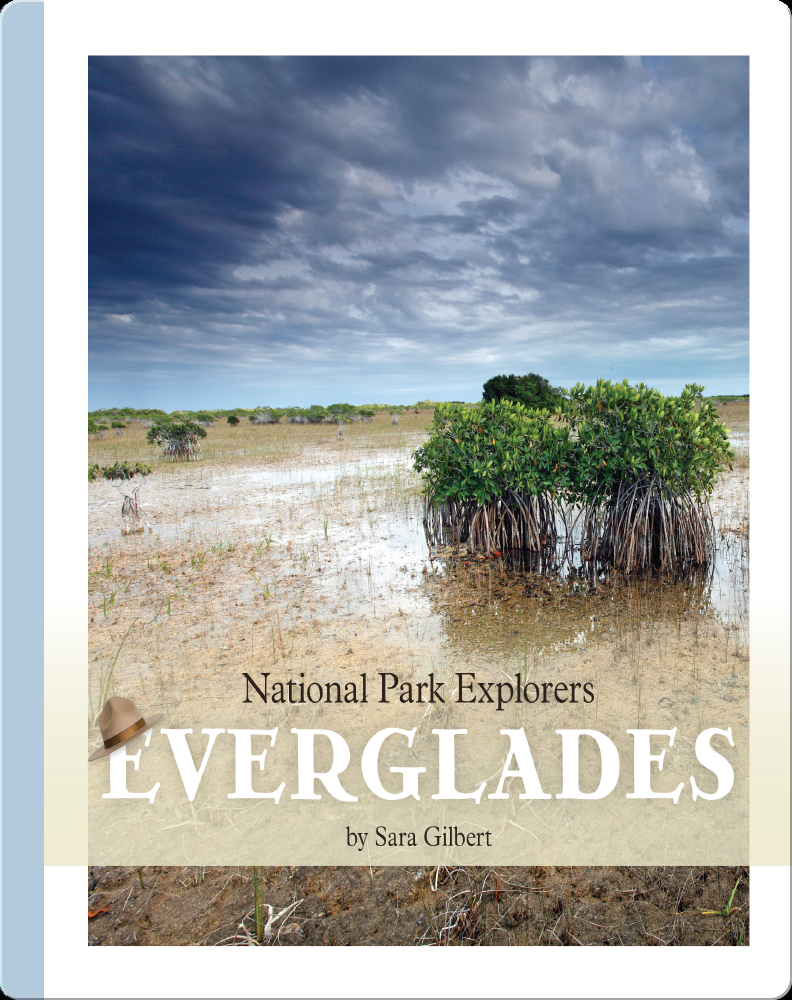 Everglades Book by Sara Gilbert | Epic
