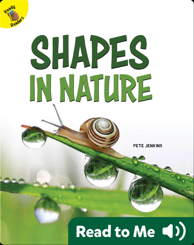 Shapes in Nature Book by Pete Jenkins | Epic