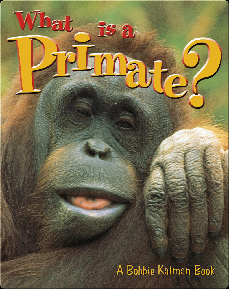 What is a Primate? Book by Bobbie Kalman, Heather Levigne | Epic