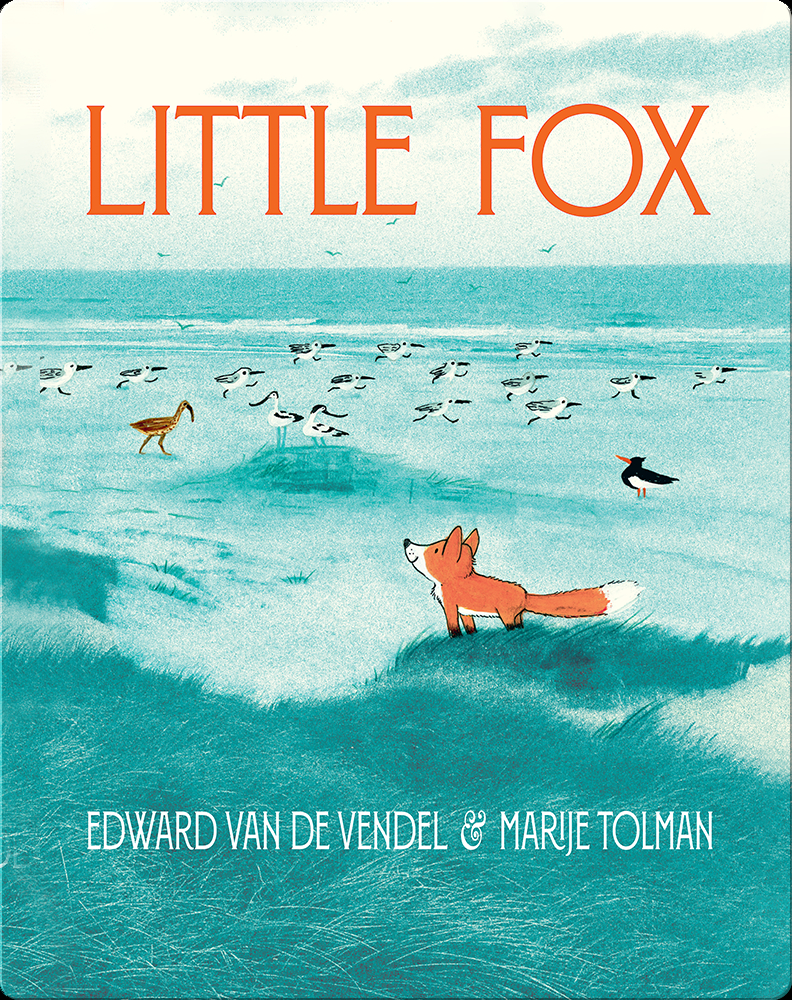 Little Fox Book by David Colmer, Edward Van De Vendel | Epic
