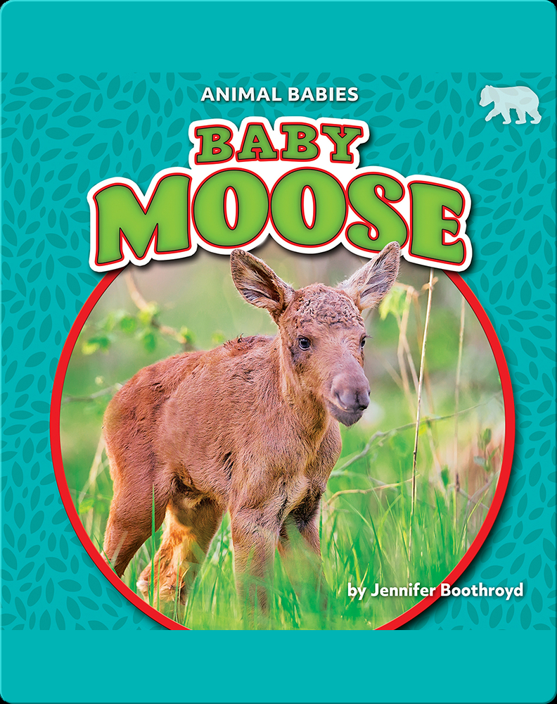 Animal Babies: Baby Moose Book by Jennifer Boothroyd | Epic