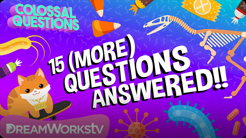 Colossal Questions: 15 (More) Questions Answered! Video | Discover Fun ...