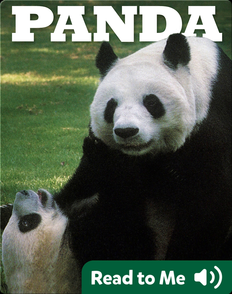 Panda Book by Caroline Arnold | Epic