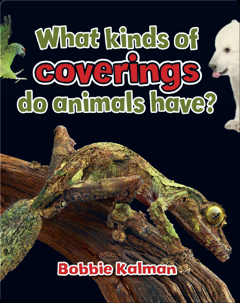 What kinds of coverings do animals have? Book by Bobbie Kalman | Epic