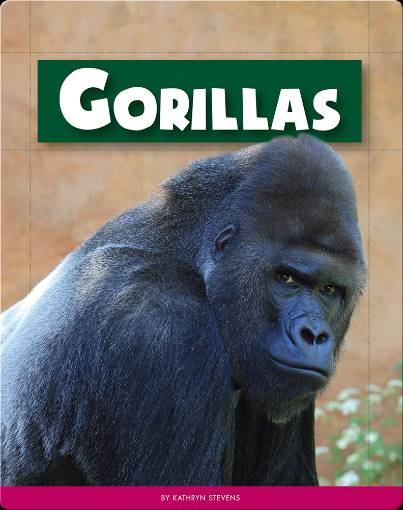 Gorillas Book by Kathryn Stevens | Epic