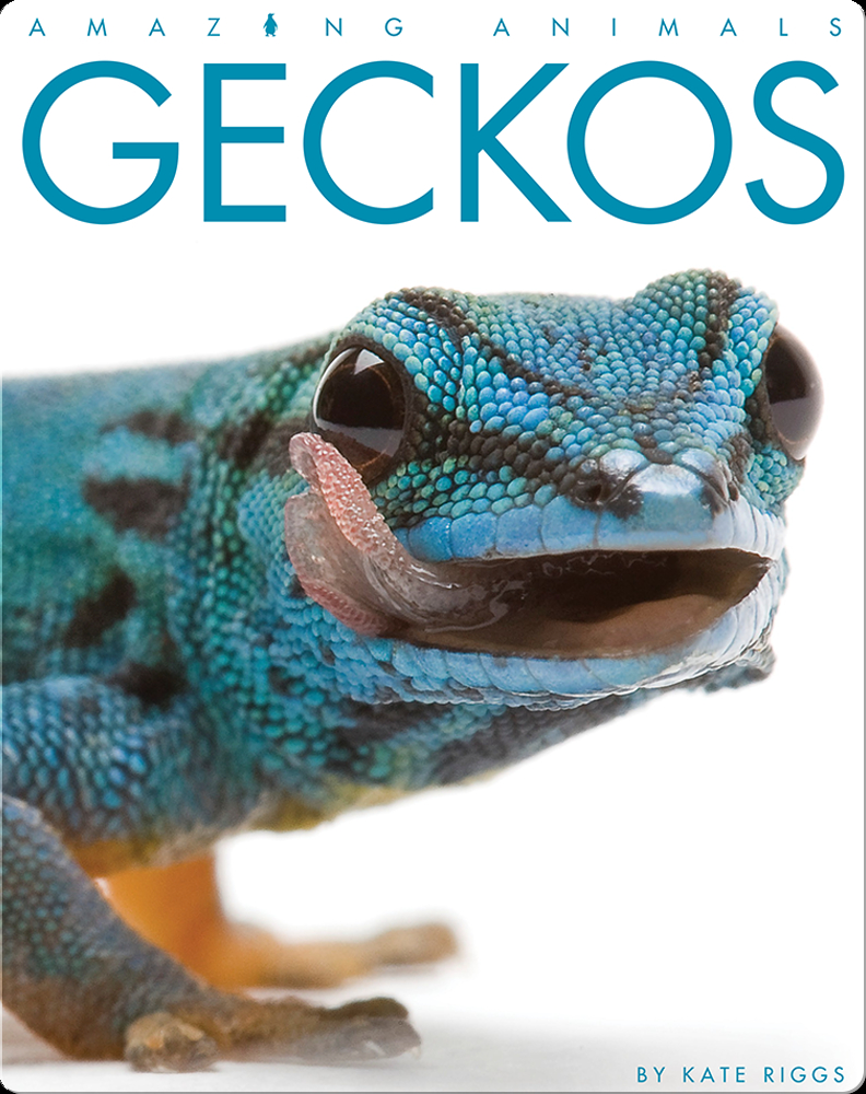 Geckos Book by Kate Riggs | Epic