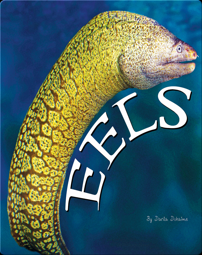 Eels Book by Darla Duhaime | Epic