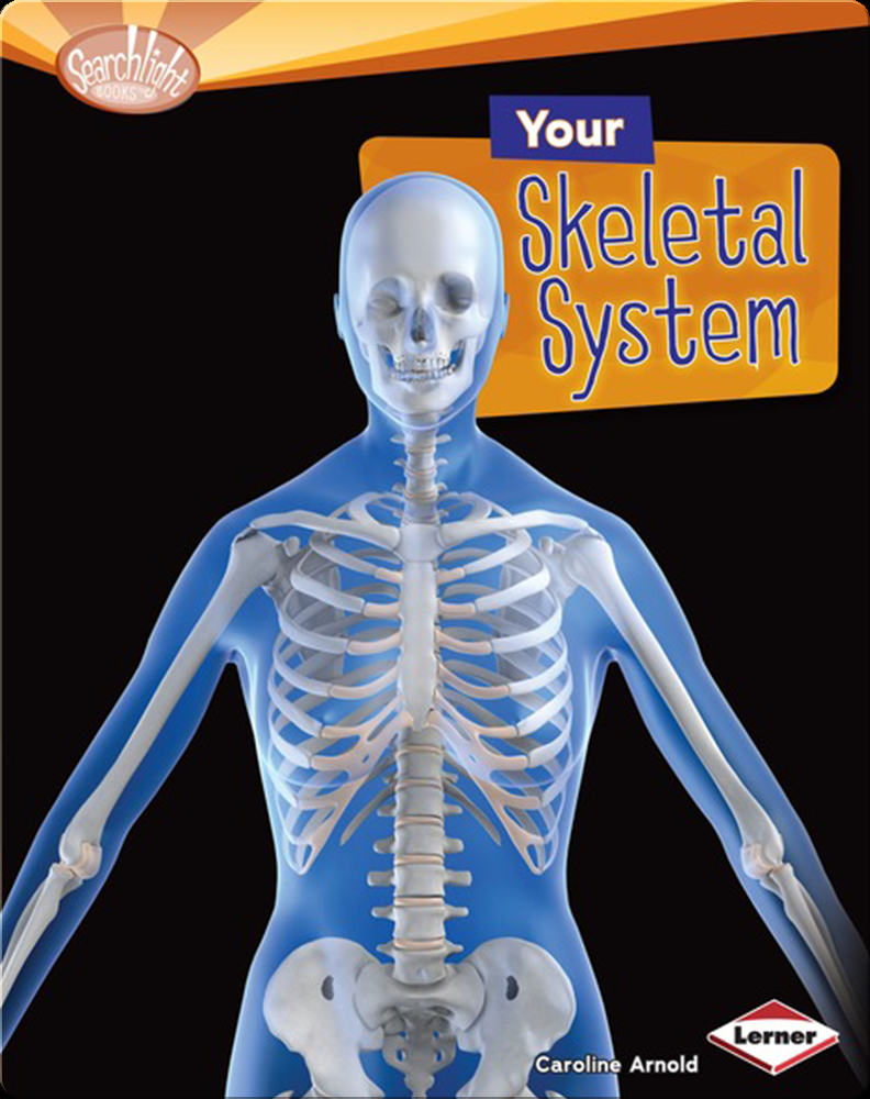 Your Skeletal System Book by Caroline Arnold | Epic