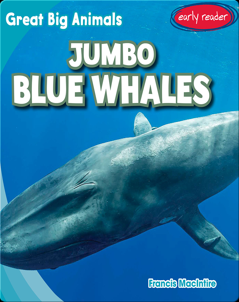 Jumbo Blue Whales Book by Francis MacIntire | Epic