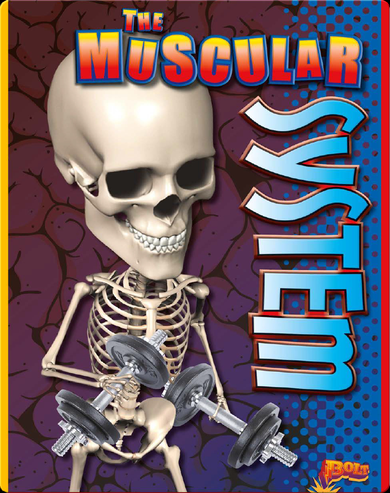 The Muscular System Book by Barbara Lowell | Epic